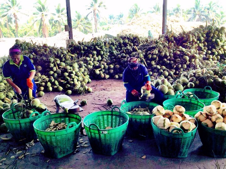 Conscious Coconut Spotlight - Epicurean HotelEpicurean Hotel